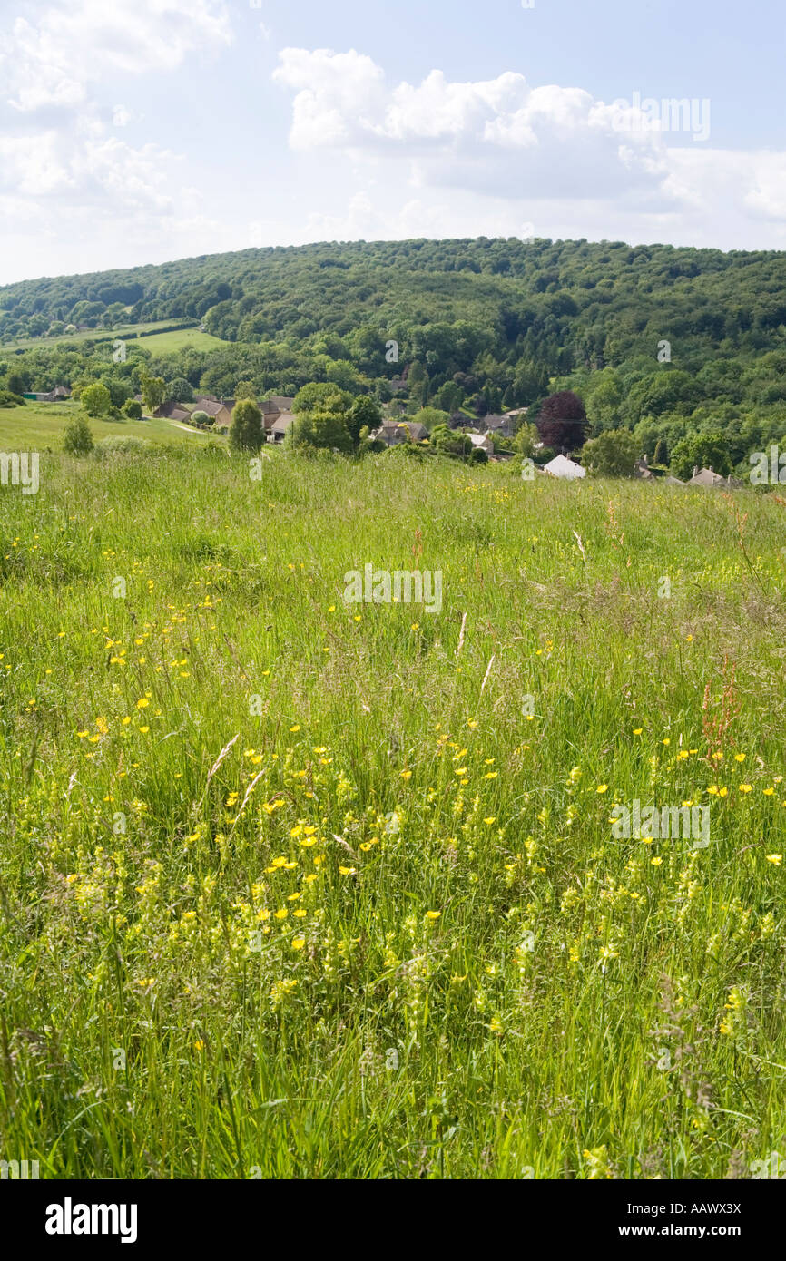 Cotswold limestone grassland at Cranham Common, Gloucestershire Stock ...