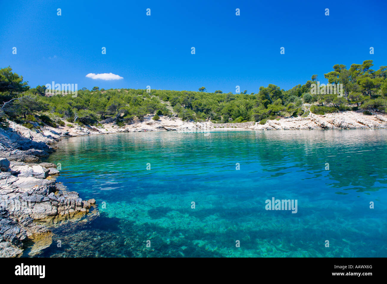 Lonely Bay, U. Maslinica, Island Hvar, Dalmatia, Croatia Stock Photo ...