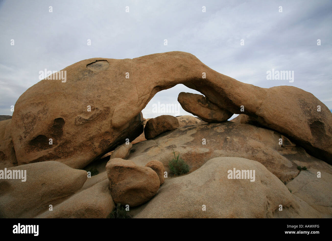 Granite Arch in Joshua Tree National Park, California, USA Stock Photo ...