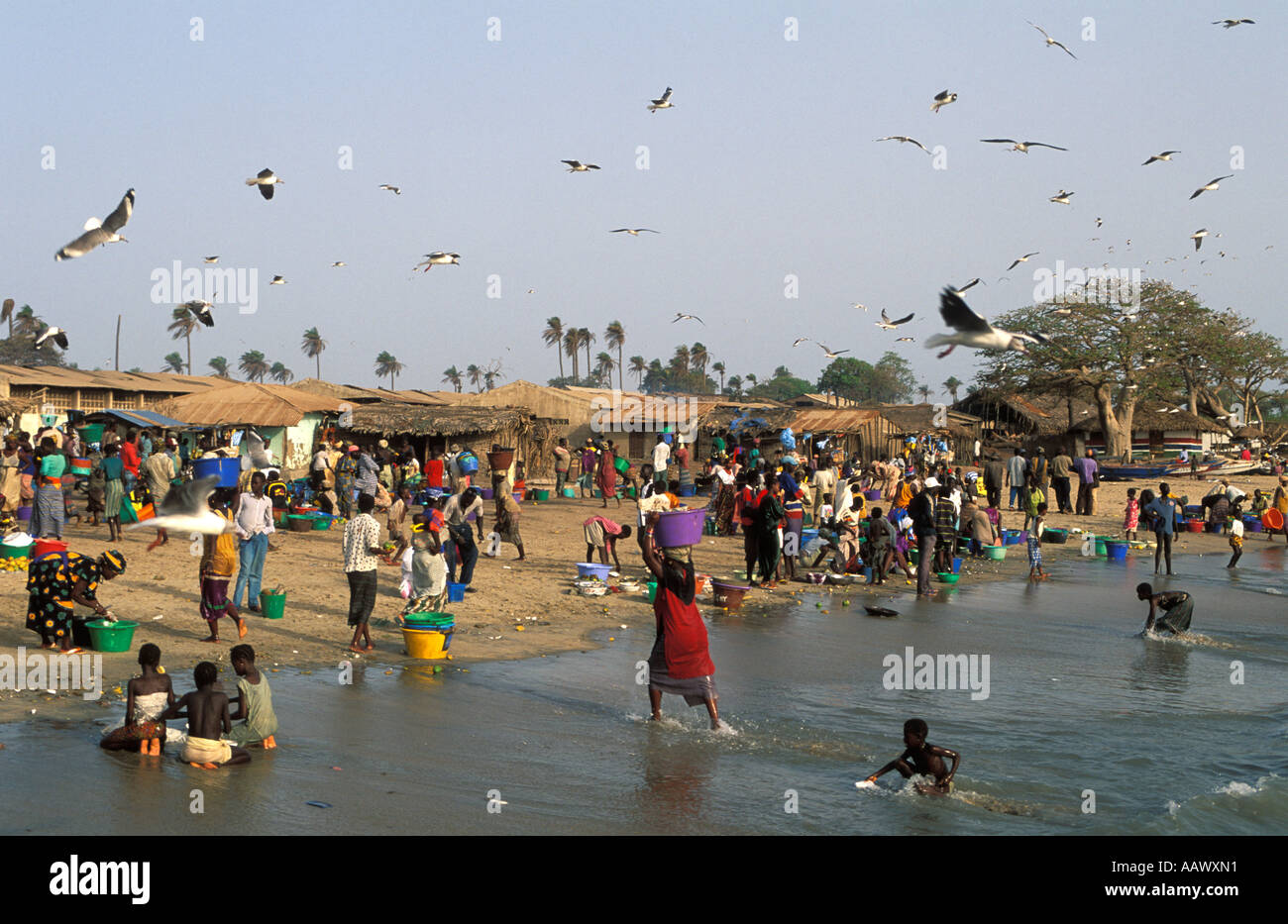 Fish market on the beach, Tanji, the Gambia Stock Photo - Alamy