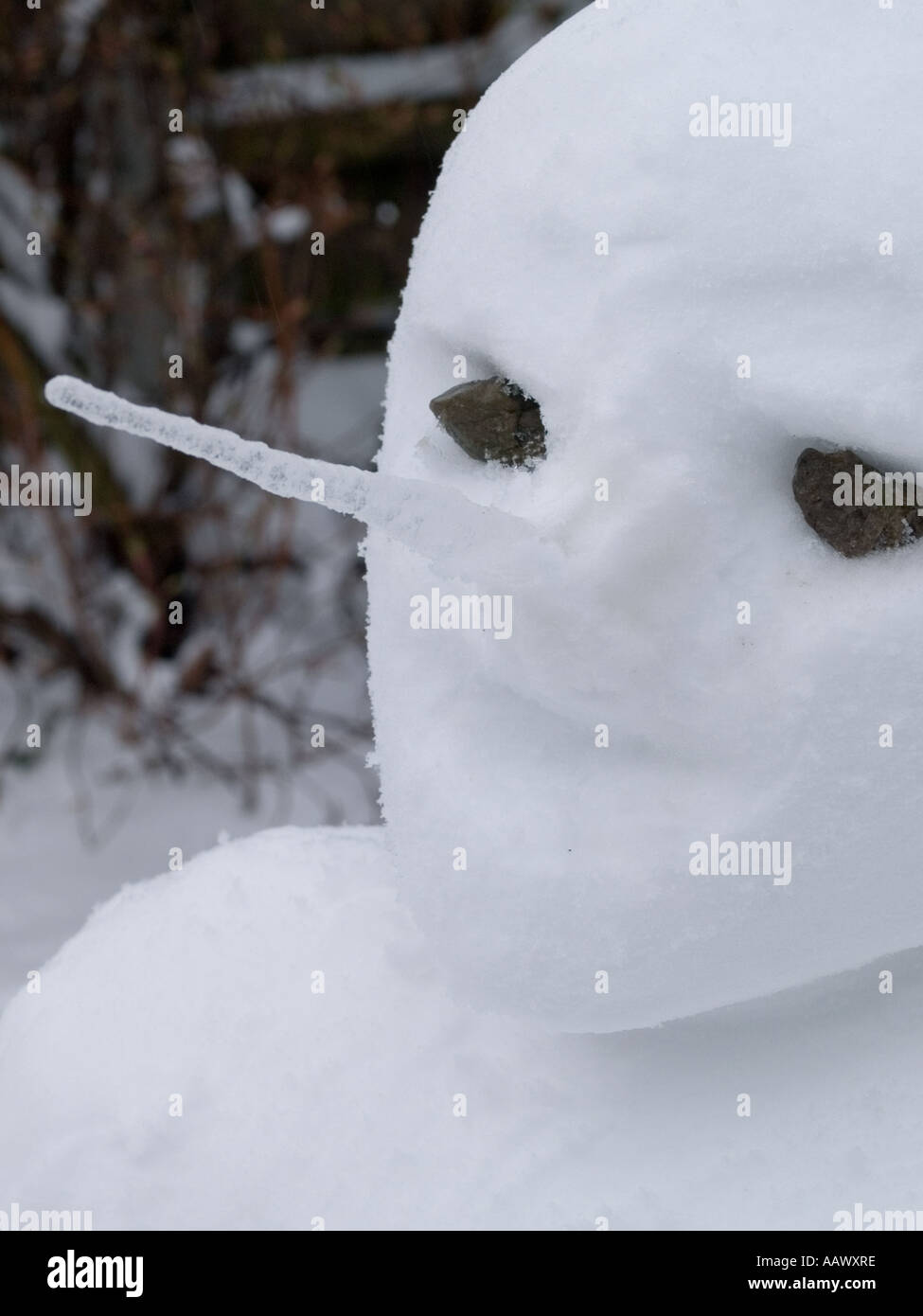 Head of a snowman, with icicle for a nose Stock Photo - Alamy