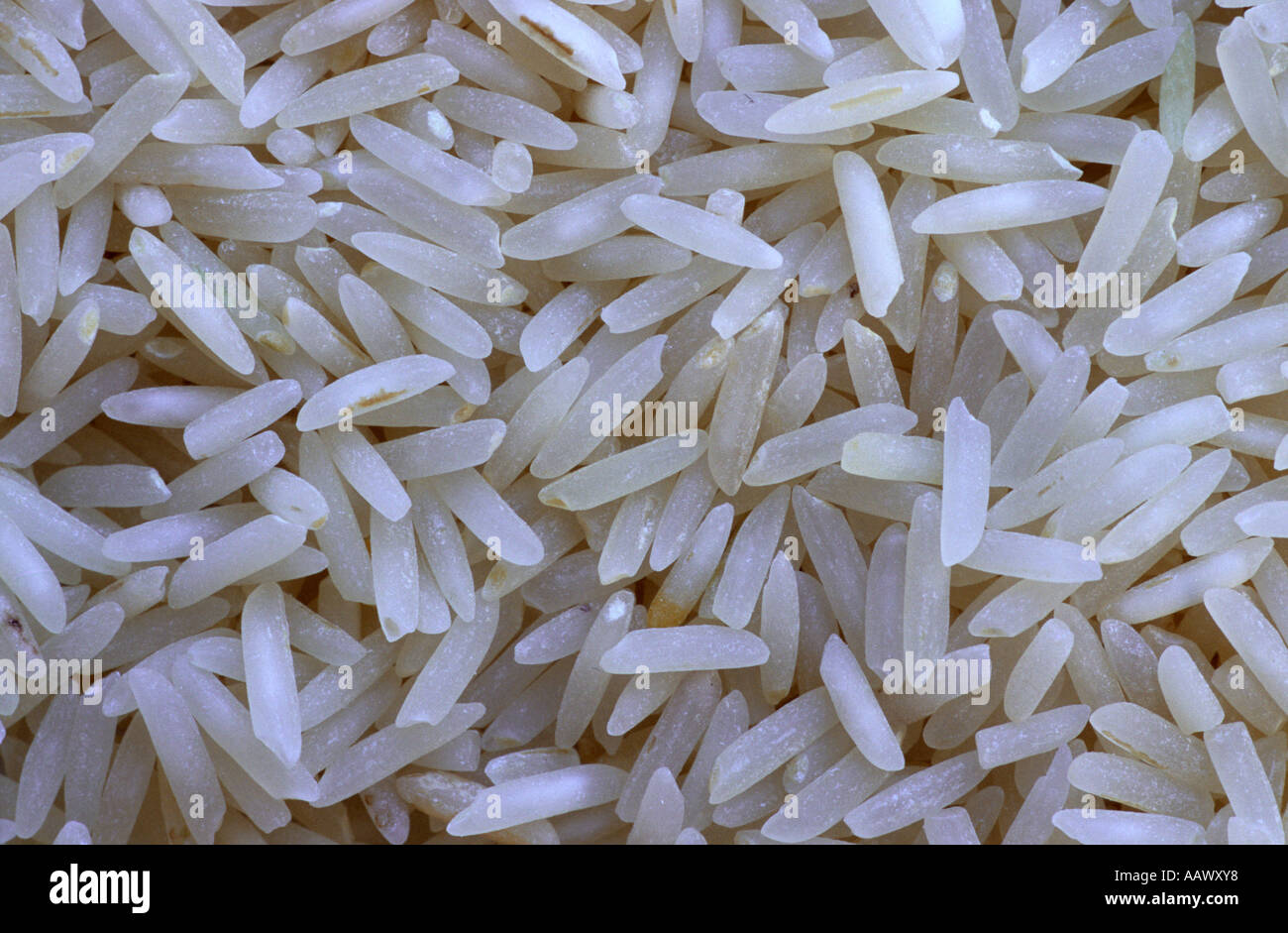 Uncooked grains of Indian Basmati rice Stock Photo - Alamy