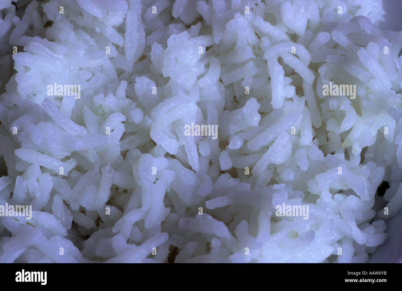 Cooked grains of Basmati rice Stock Photo - Alamy