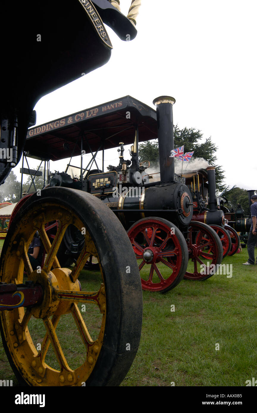 Traction engines on show Stock Photo - Alamy