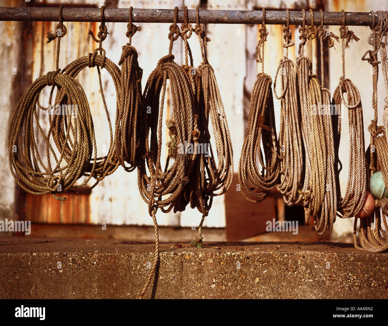 Rope hung out to dry in front of a boathouse, Lulworth Cove, Dorset, UK ...