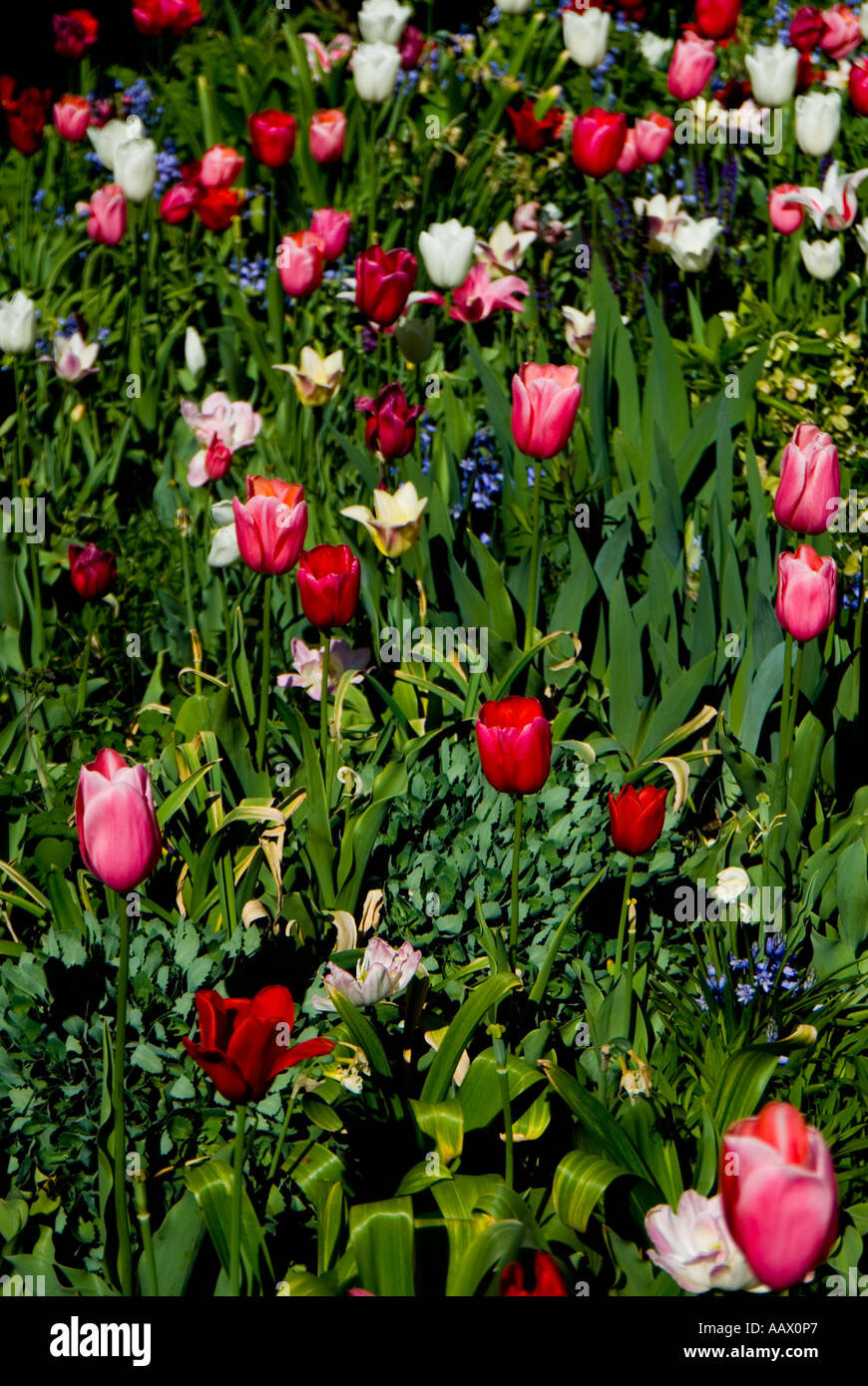 Wm garden hi-res stock photography and images - Alamy