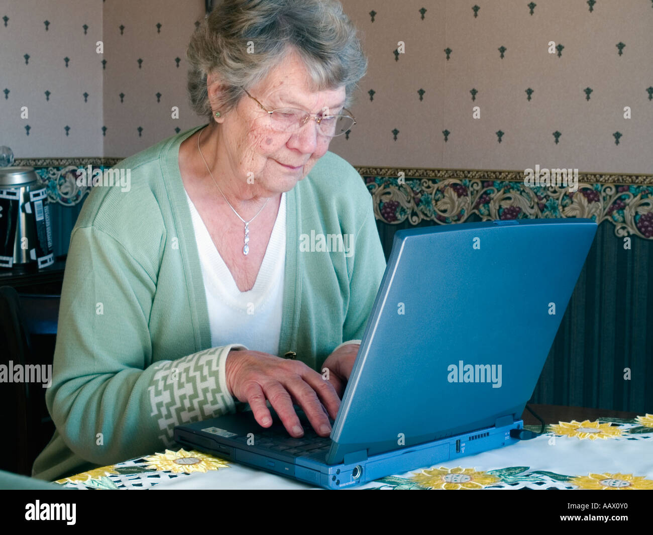 Old lady using a laptop Stock Photo - Alamy