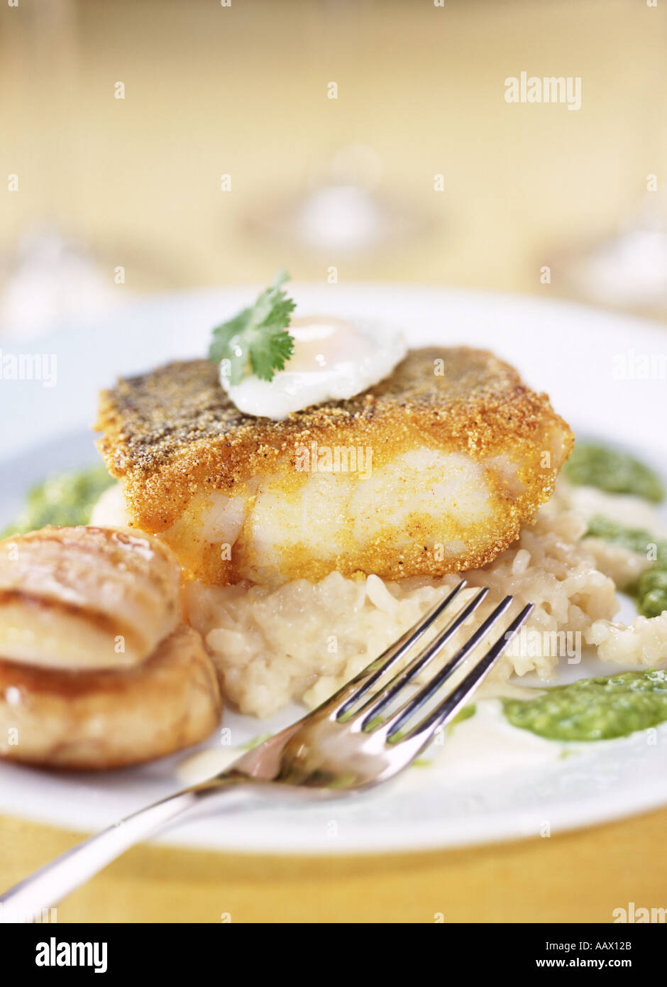 Coley fishing hi-res stock photography and images - Alamy