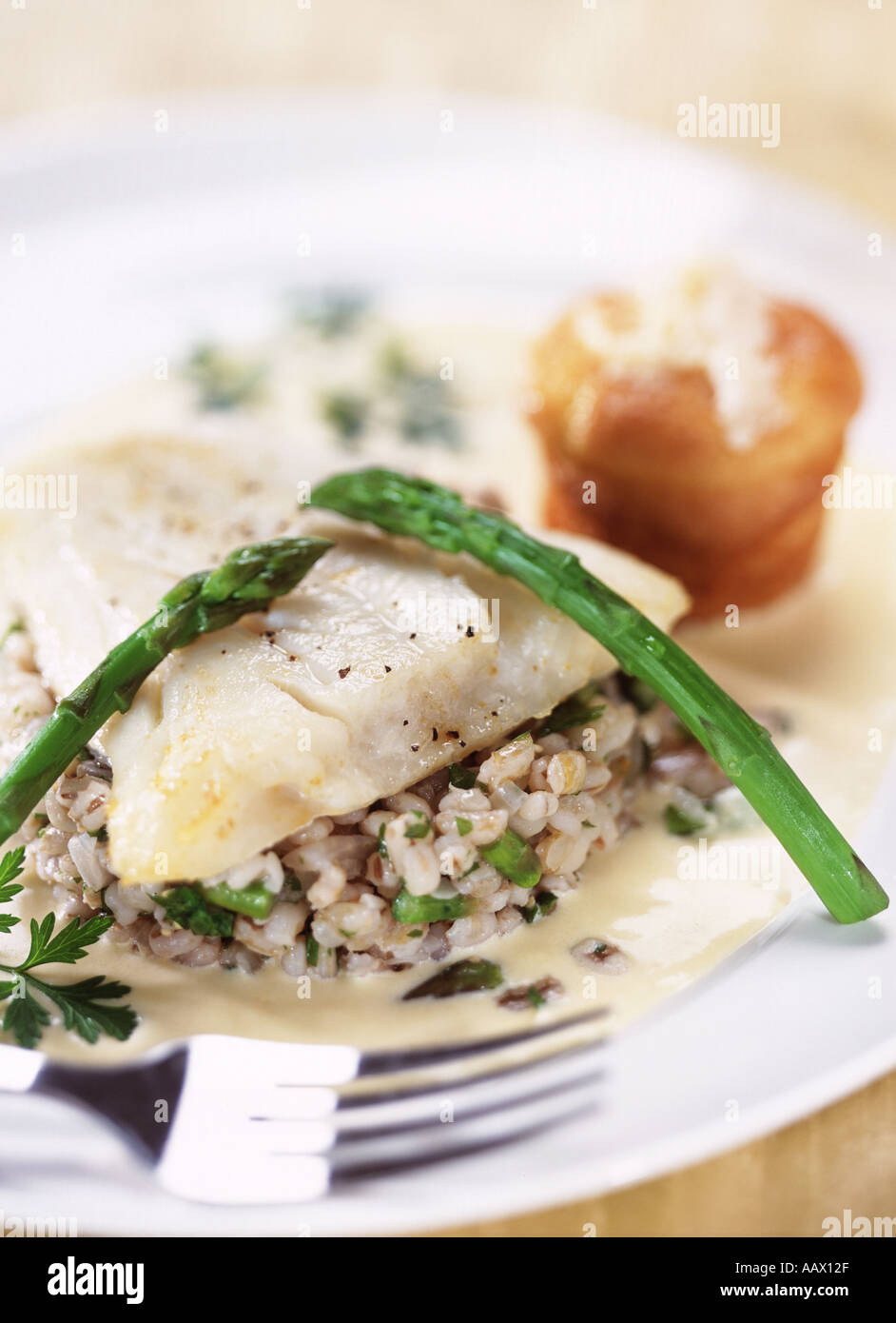 Coley fishing hi-res stock photography and images - Alamy