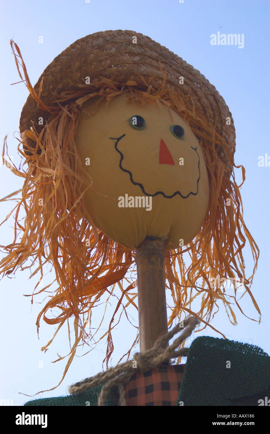 Lifelike scarecrow hi-res stock photography and images - Alamy