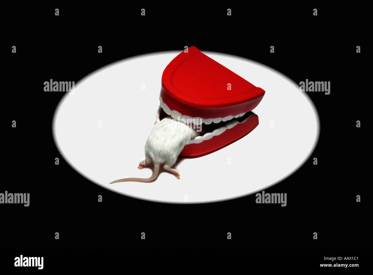 Chatter hi-res stock photography and images - Alamy