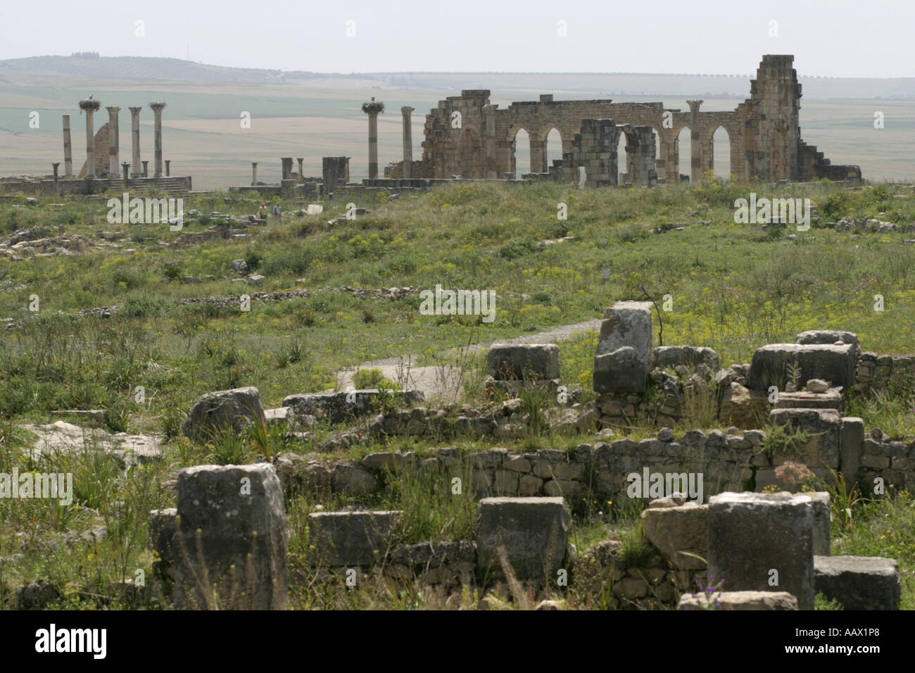 Roman Colony High Resolution Stock Photography and Images - Alamy