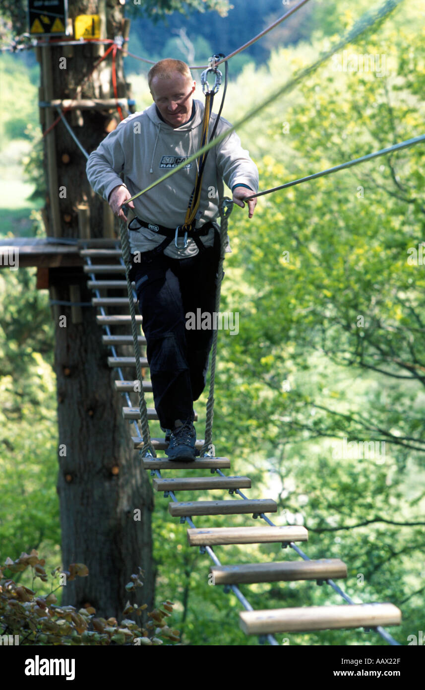High Ropes course Grizedale Forest Stock Photo - Alamy