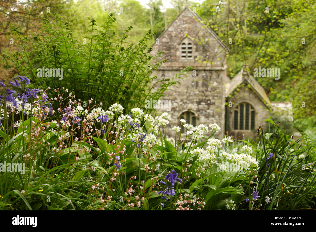 Minster Church, Boscastle, Cornwall Stock Photo - Alamy