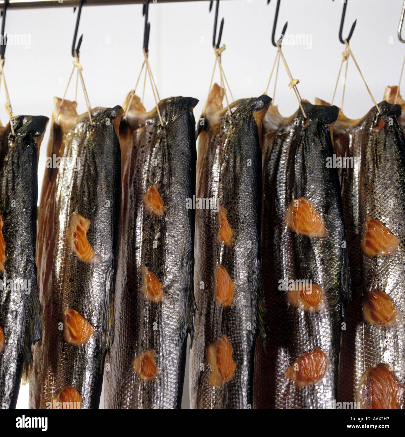 hanging smoked salmon Stock Photo - Alamy