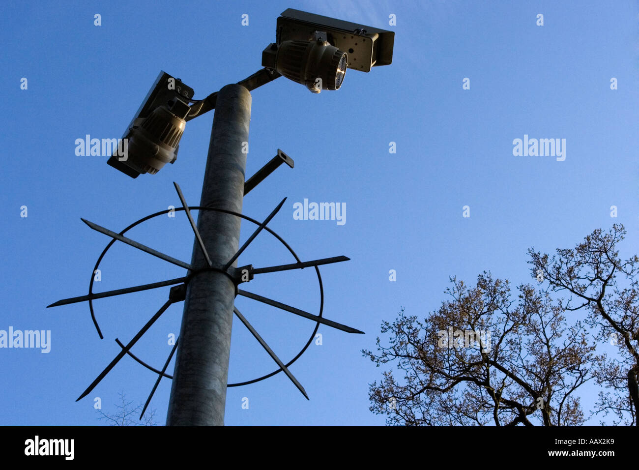 Security cameras on a pole Stock Photo - Alamy