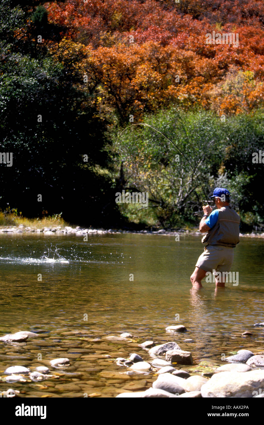 PF-18 FISH ON IN THE DOLORES RIVER Stock Photo - Alamy