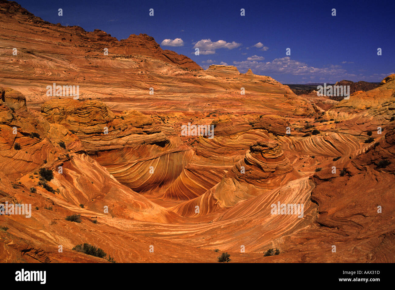 The area known as The Wave in the Vermillion Cliffs Wilderness Paria ...