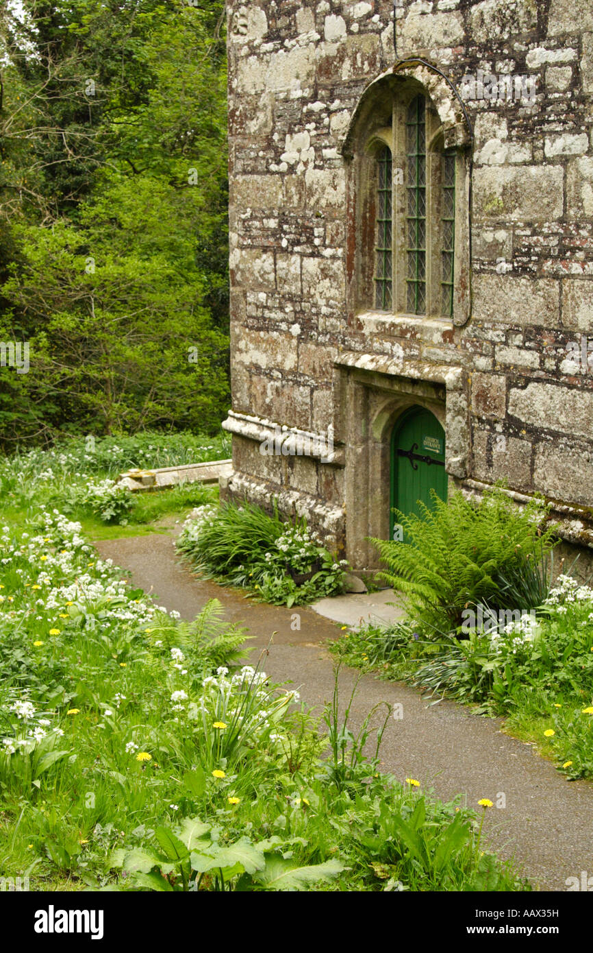 Minster church, Boscastle, North Cornwall, West Country, England, UK ...