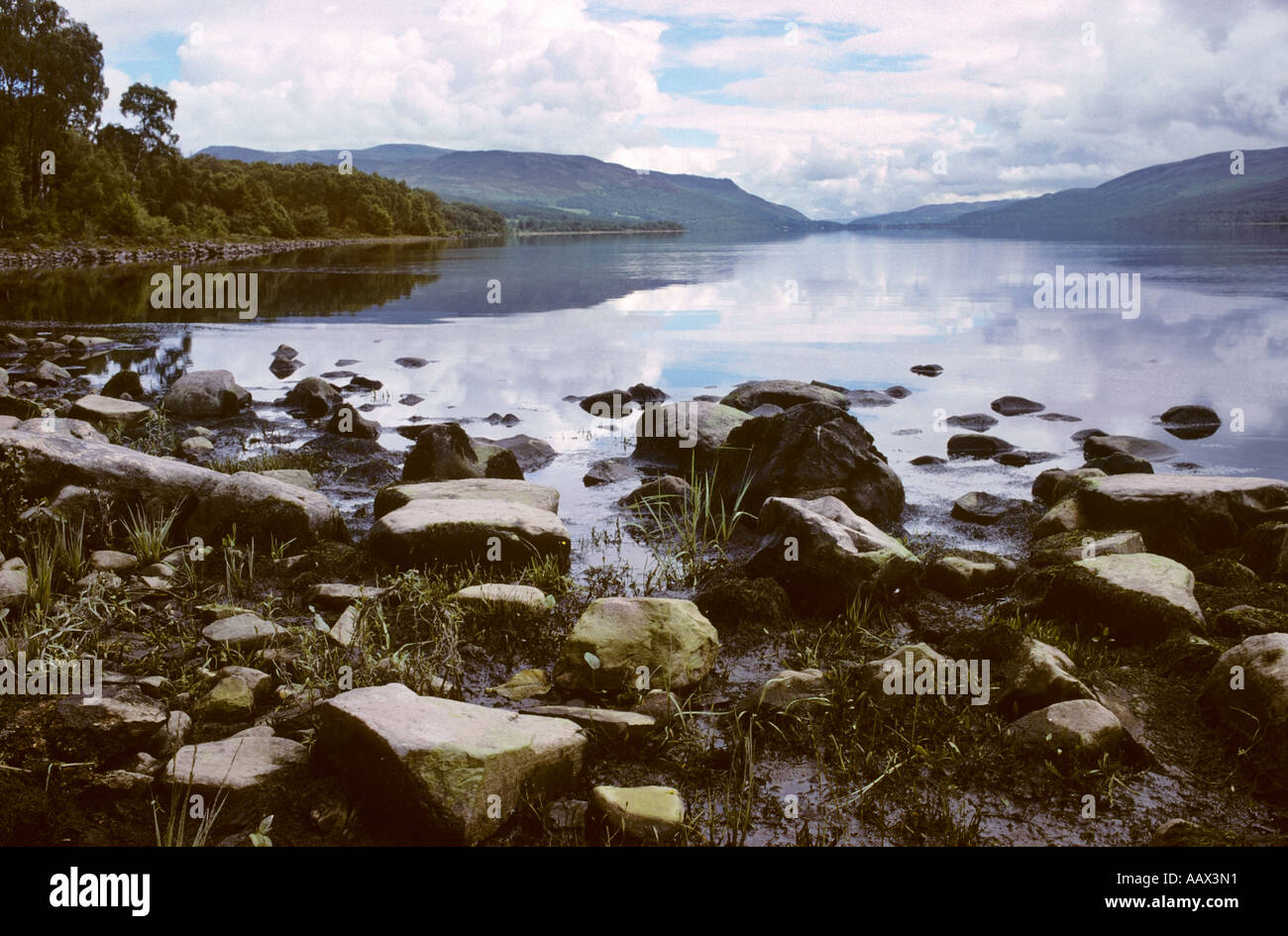 Kinloch forest hi-res stock photography and images - Alamy