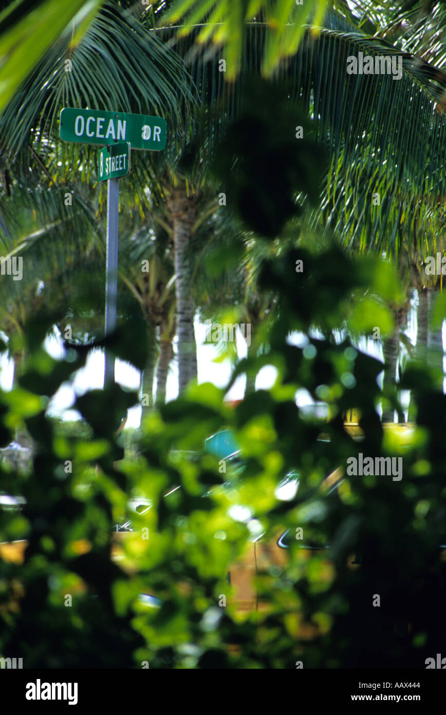 Miami South Beach Ocean Drive street sign with plams and bushes Stock ...