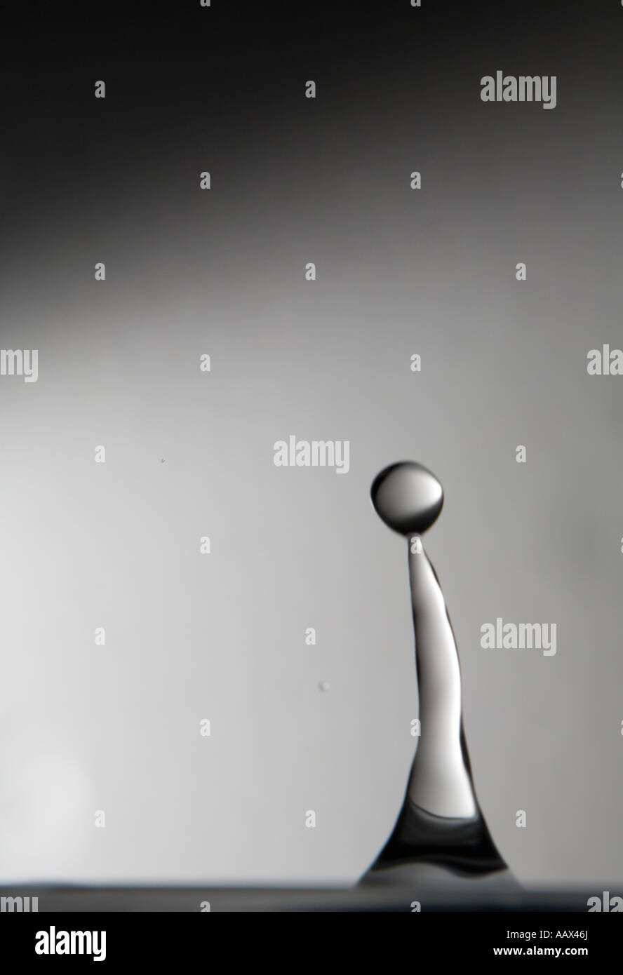 the splash from a drop of water Stock Photo - Alamy