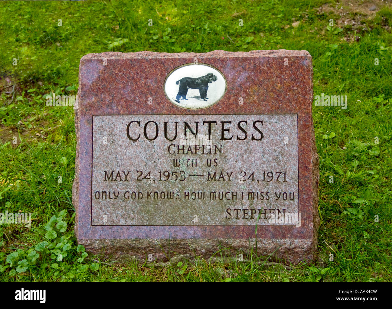 Gravestone for the dog Countess at the Hartsdale Pet Cemetery in ...