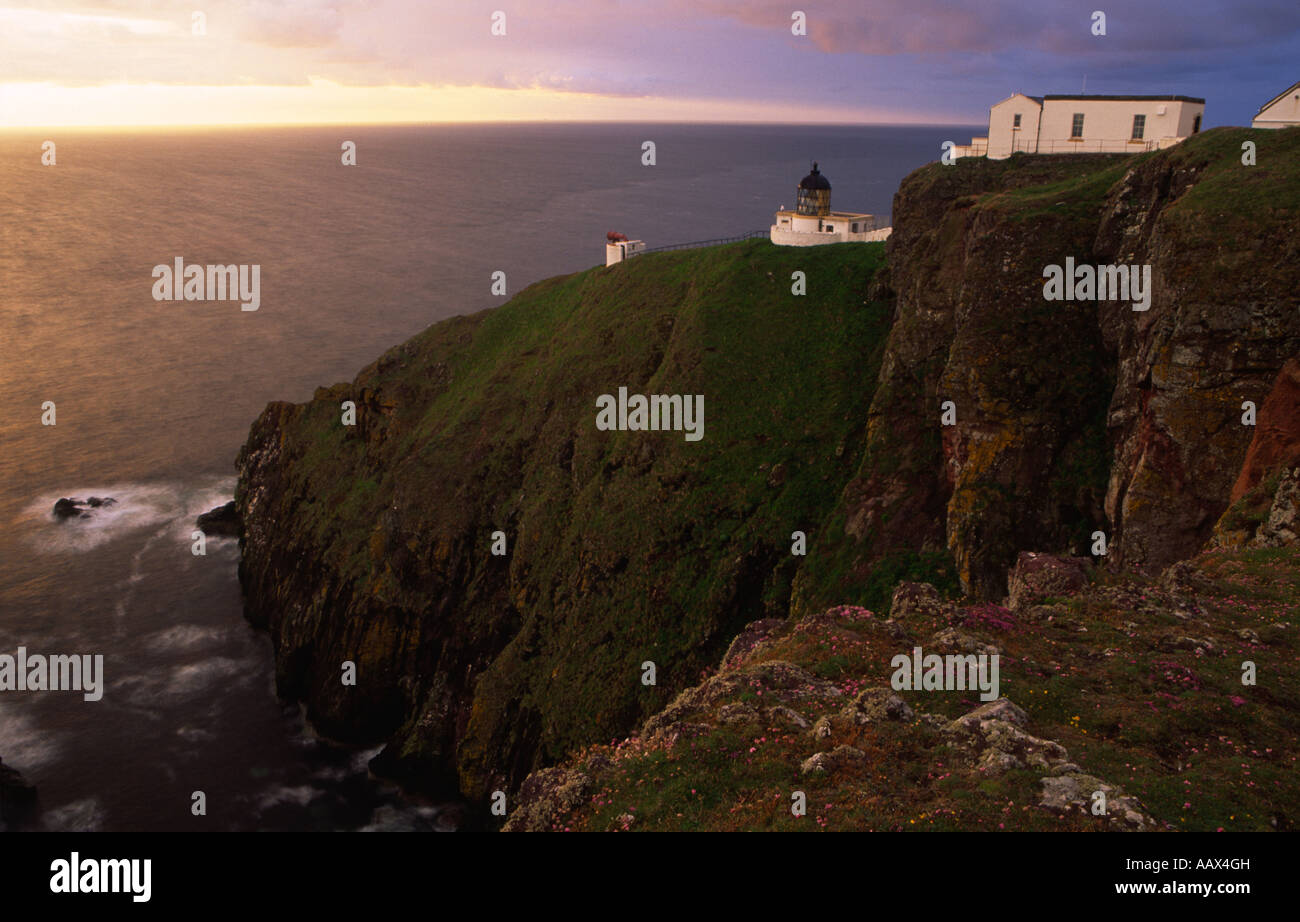 St abbs lighthouse berwickshire scotland hi-res stock photography and images - Alamy