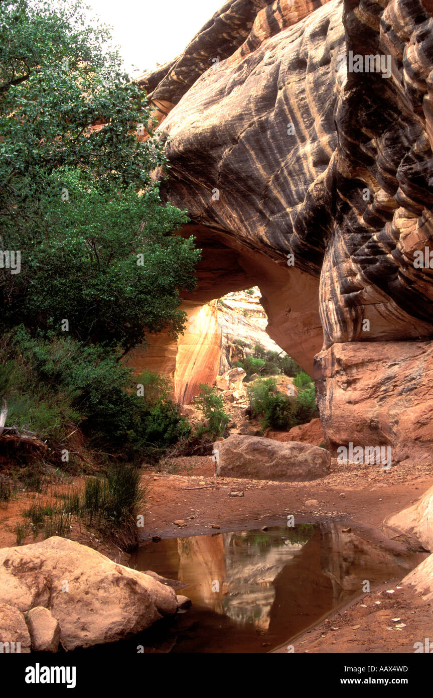 Kachina bridge hi-res stock photography and images - Alamy