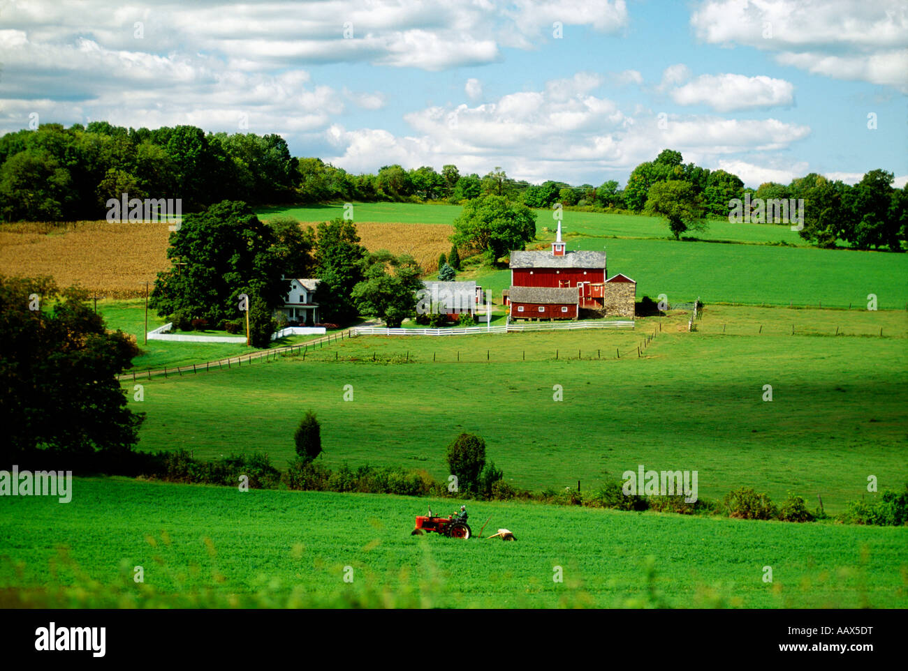 Amish Farms In Nj