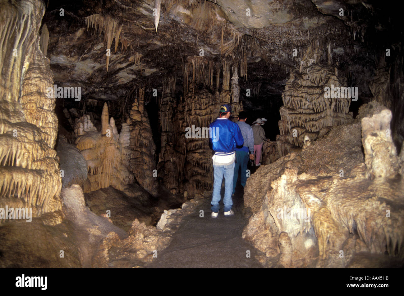 PNP-20 VISITORS ON TRAIL IN LEHMAN CAVES Stock Photo - Alamy