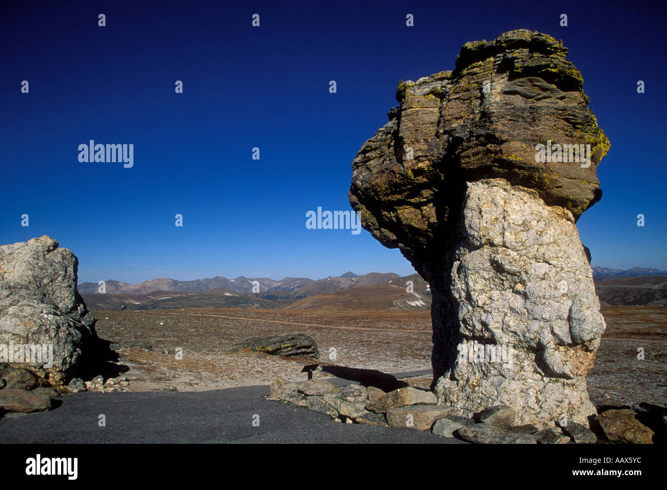 Tundra world nature trail hi-res stock photography and images - Alamy