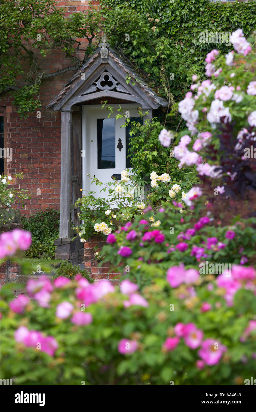 Country cottage roses hi-res stock photography and images - Alamy