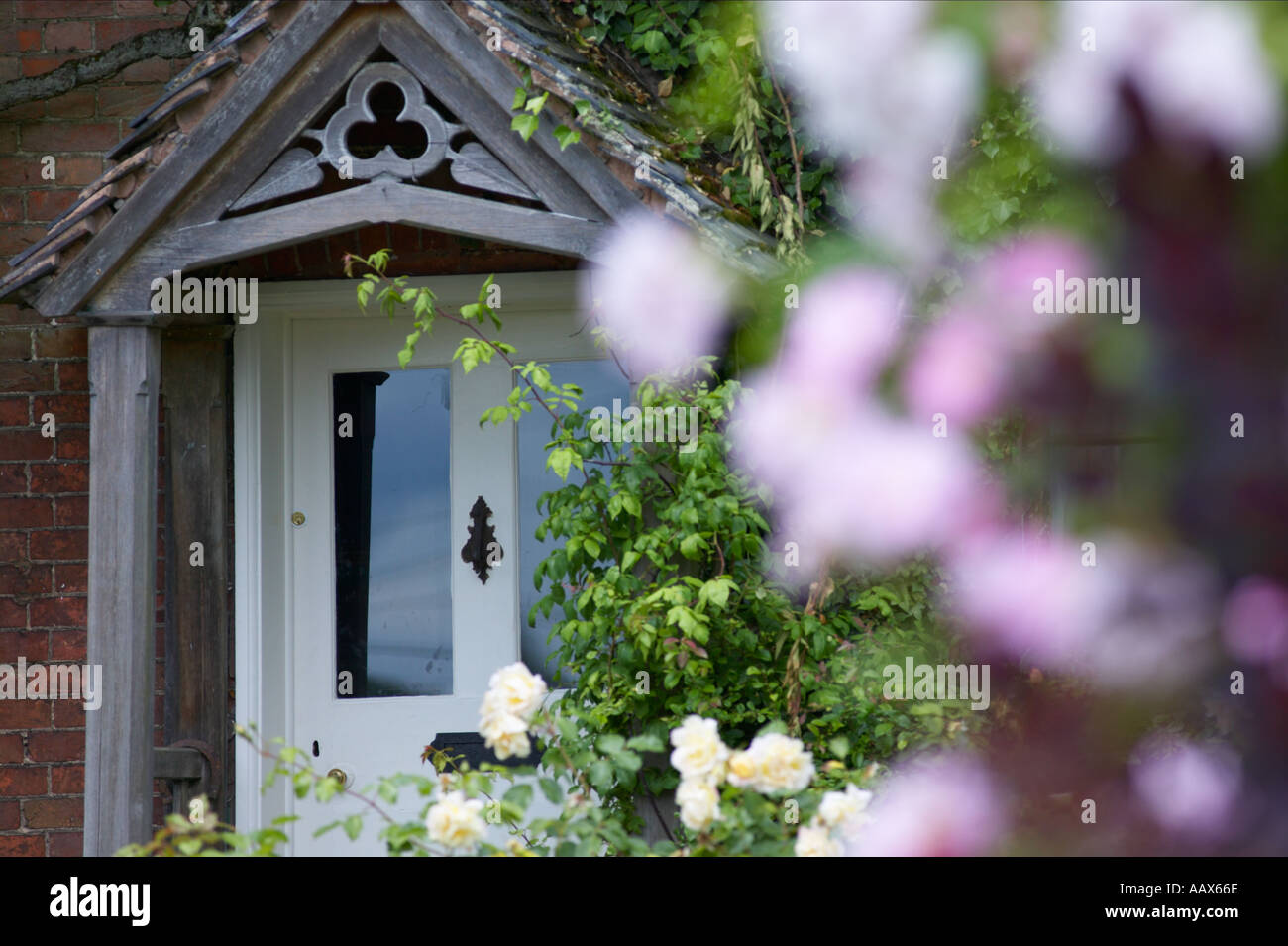 Country cottage roses hi-res stock photography and images - Alamy