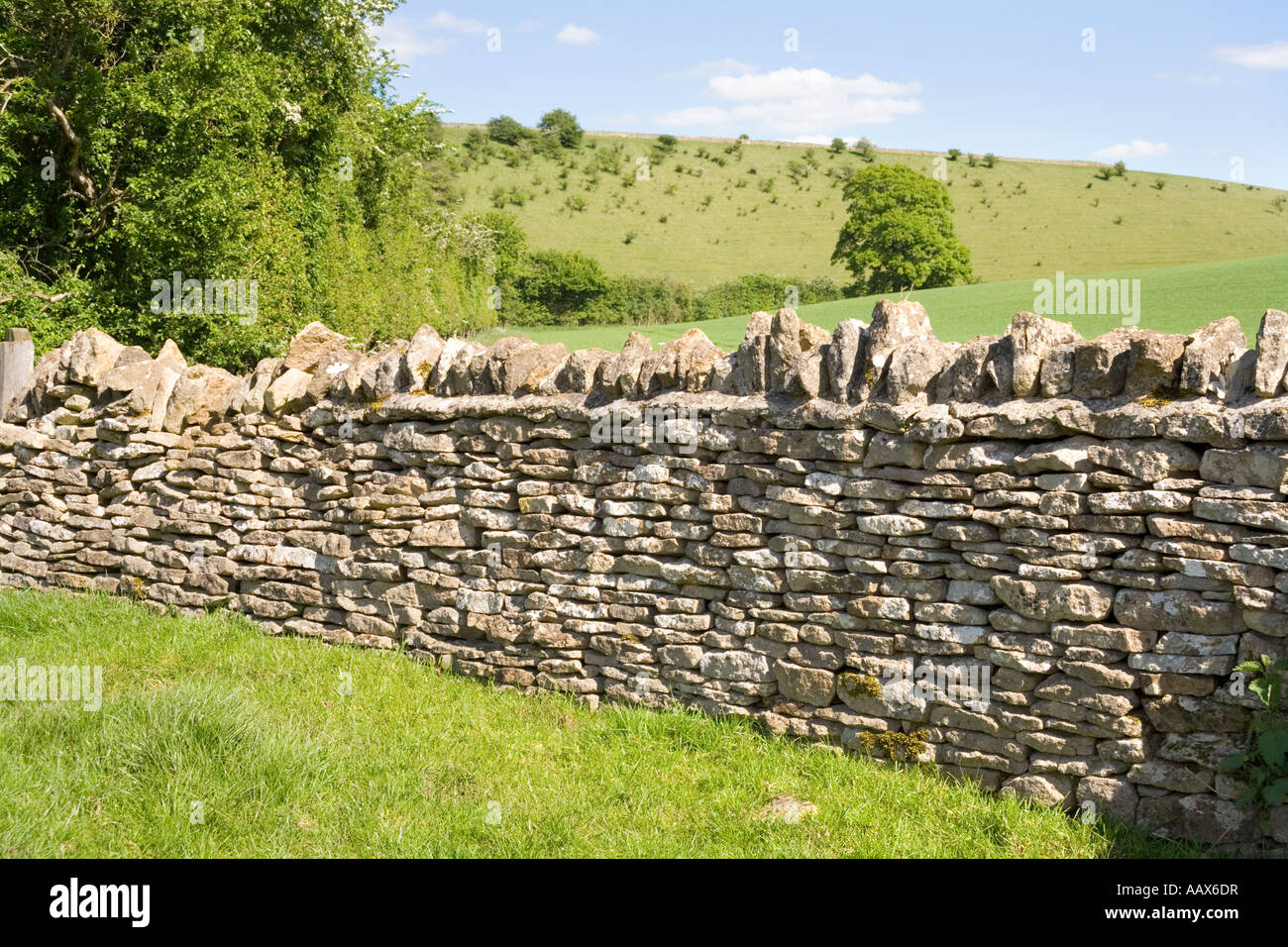 A dry stone wall and a rolling Cotswold landscape near the Cotswold ...
