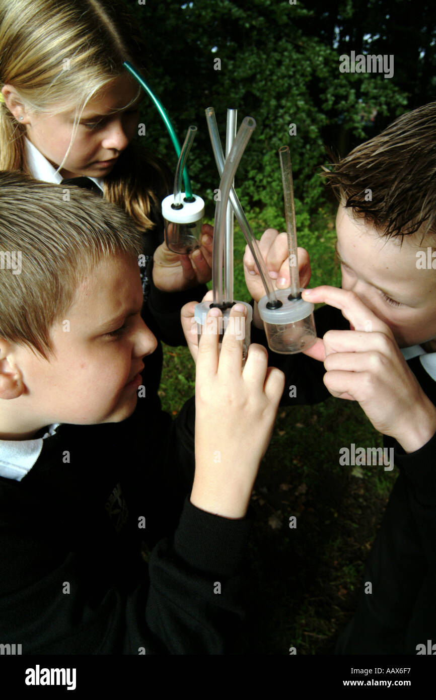 science experiment outdoor outside Stock Photo - Alamy