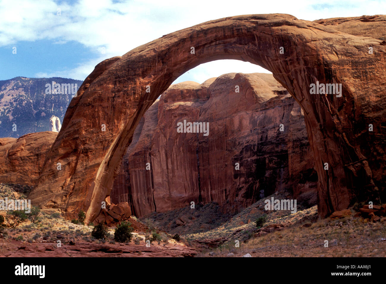 Psc bridge hi-res stock photography and images - Alamy