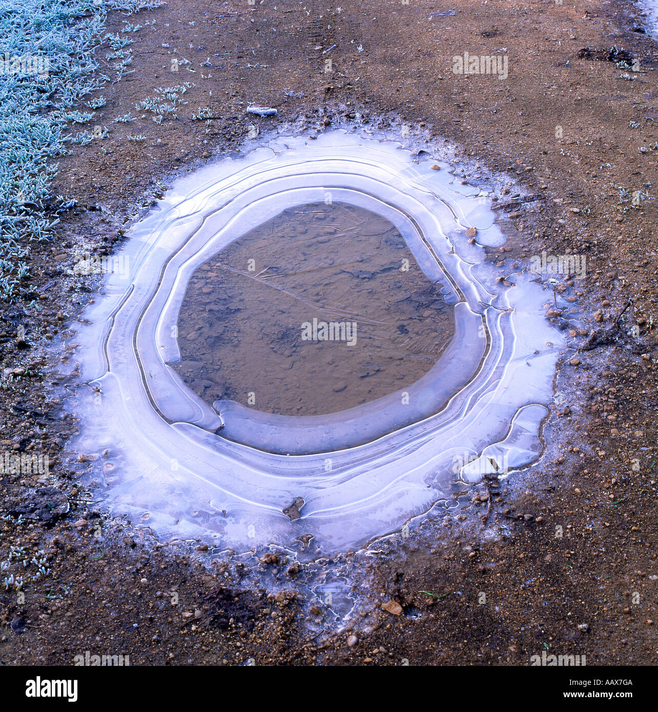 Ring ground hi-res stock photography and images - Alamy