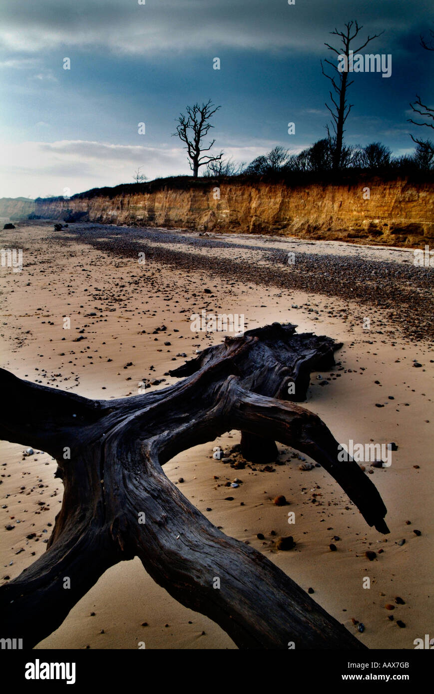 Beach at Covehithe Suffolk Stock Photo - Alamy