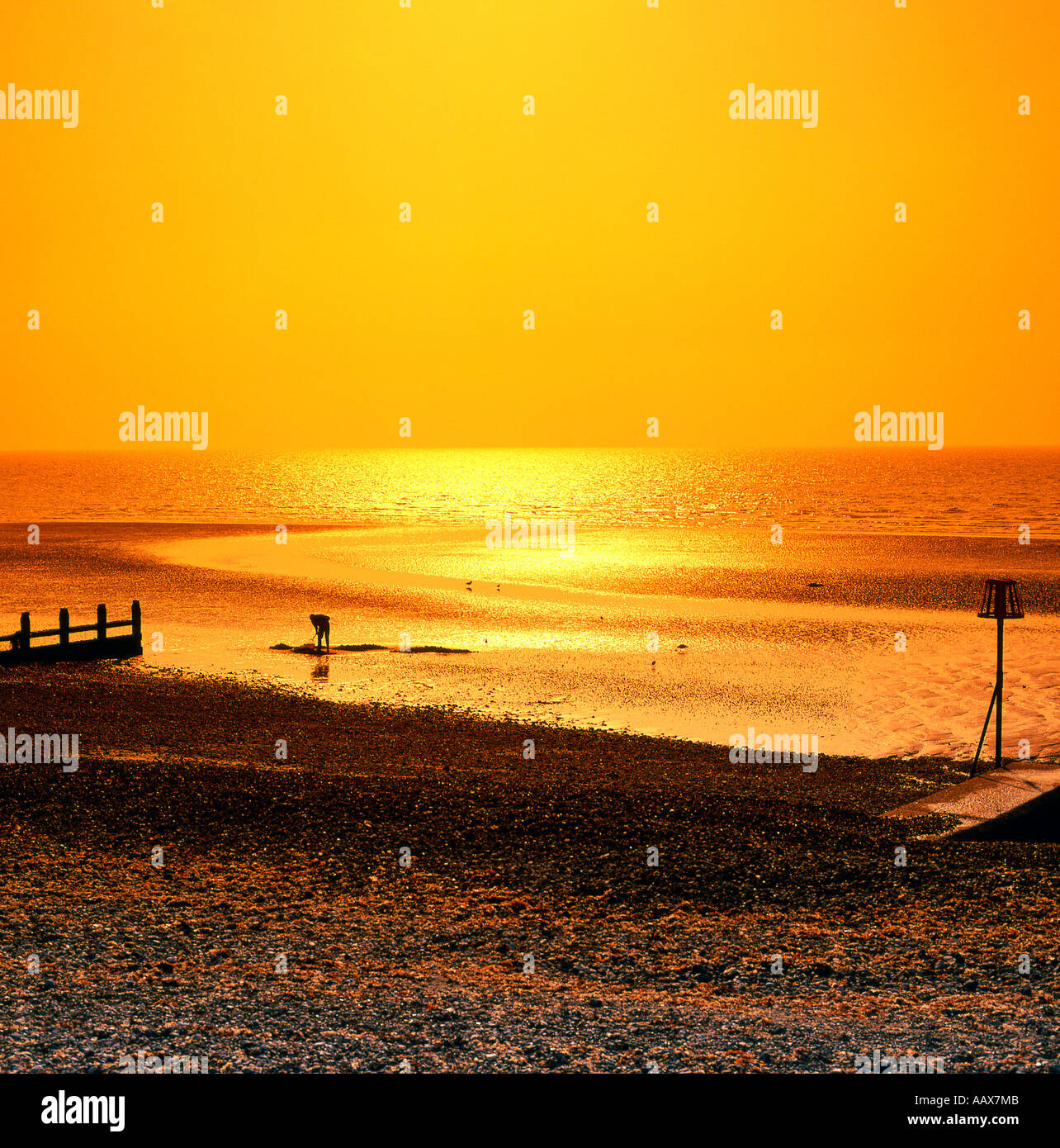Man digging for worms on the beach hi-res stock photography and images ...
