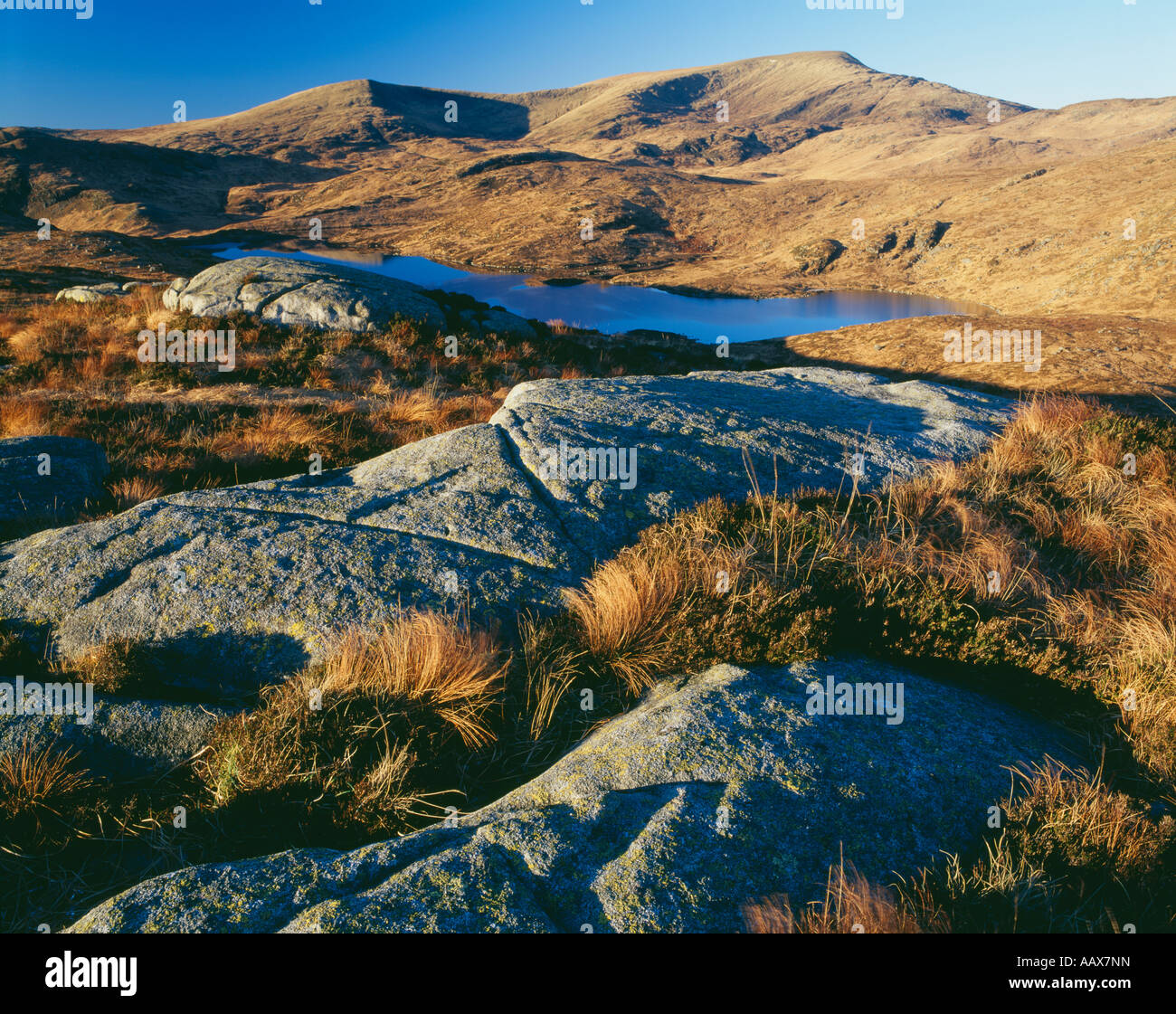 Galloway Forest Park Rig of the Jarkness looking across Loch Valley to ...