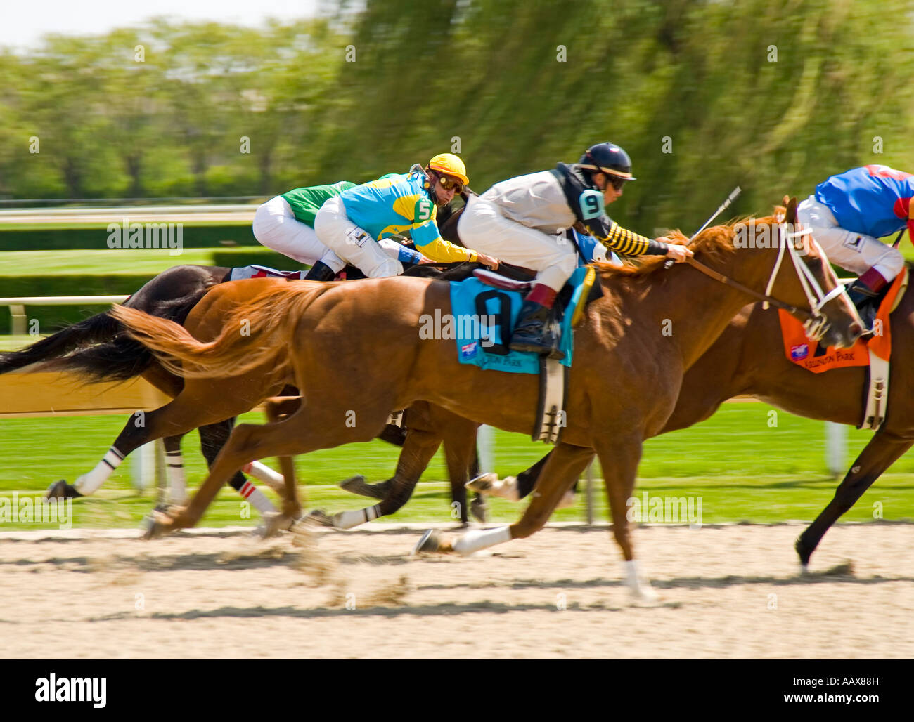 #5 in Focus Stock Photo - Alamy