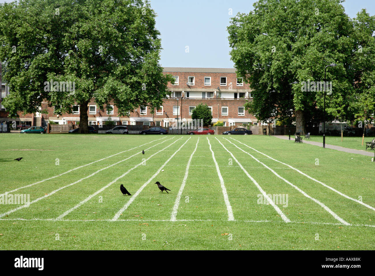 a running track marked out on an east london public park Stock Photo ...
