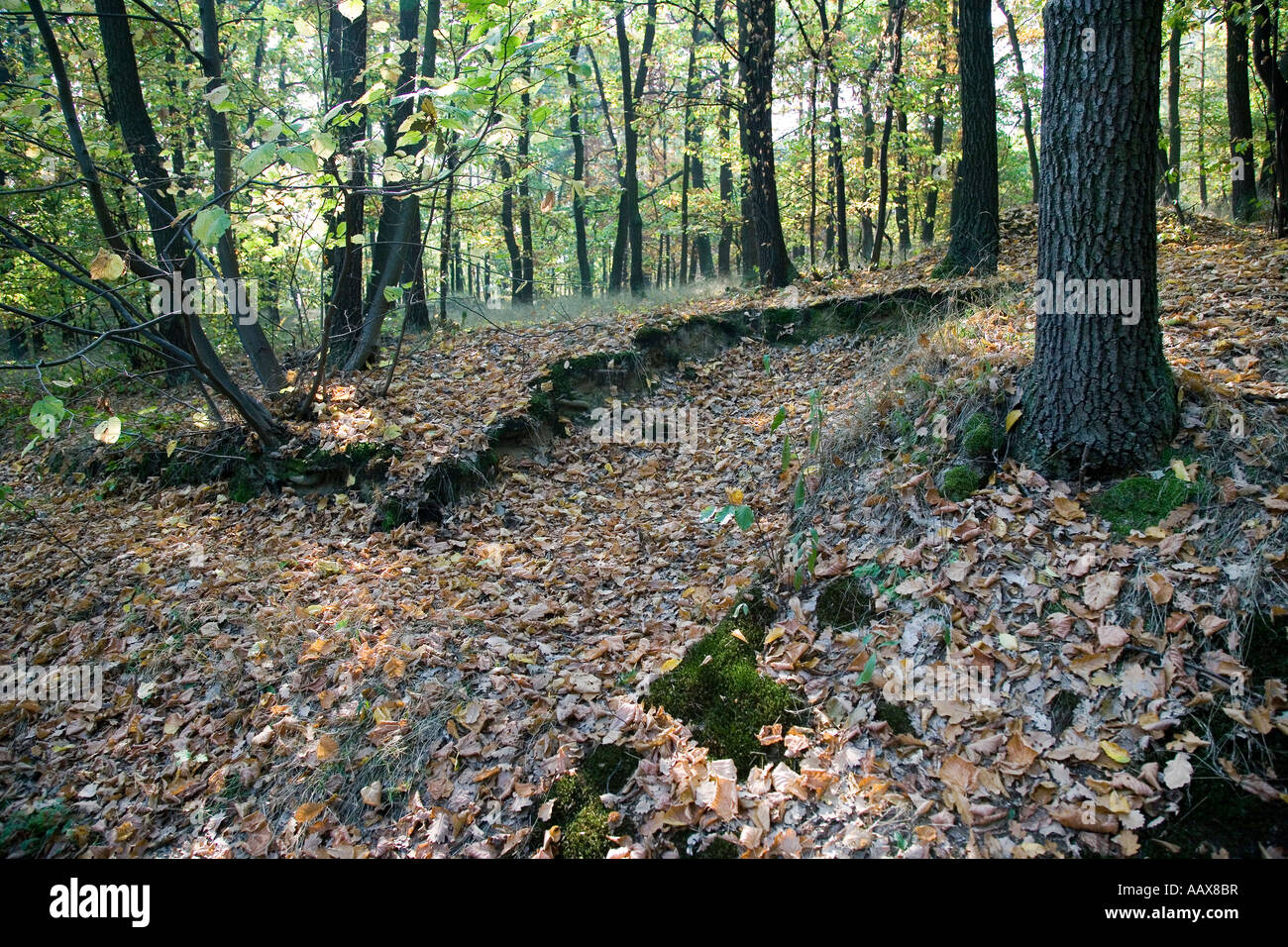 Zavist oppidum hi-res stock photography and images - Alamy