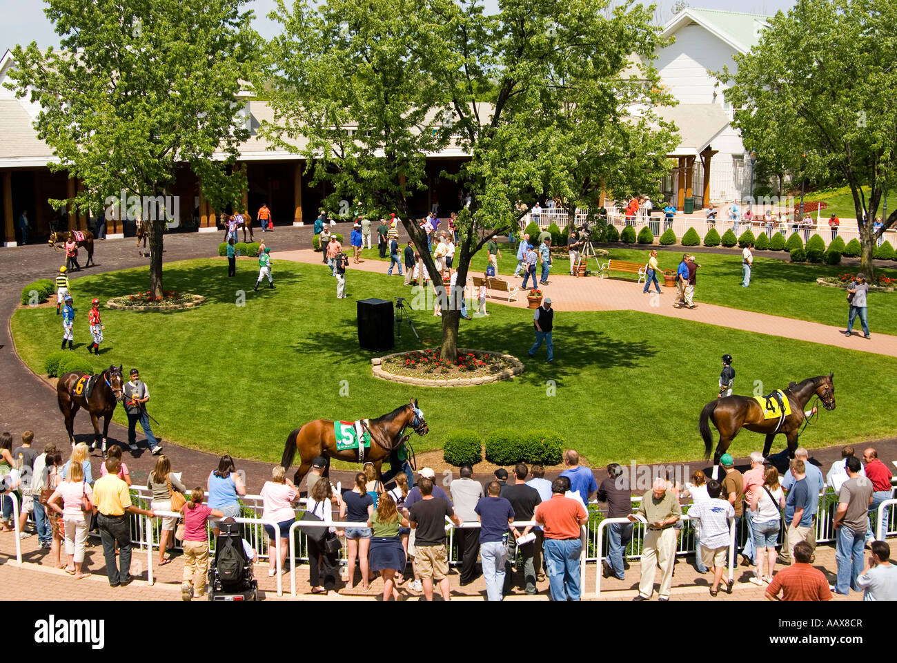Arlington Park Paddock Stock Photo - Alamy