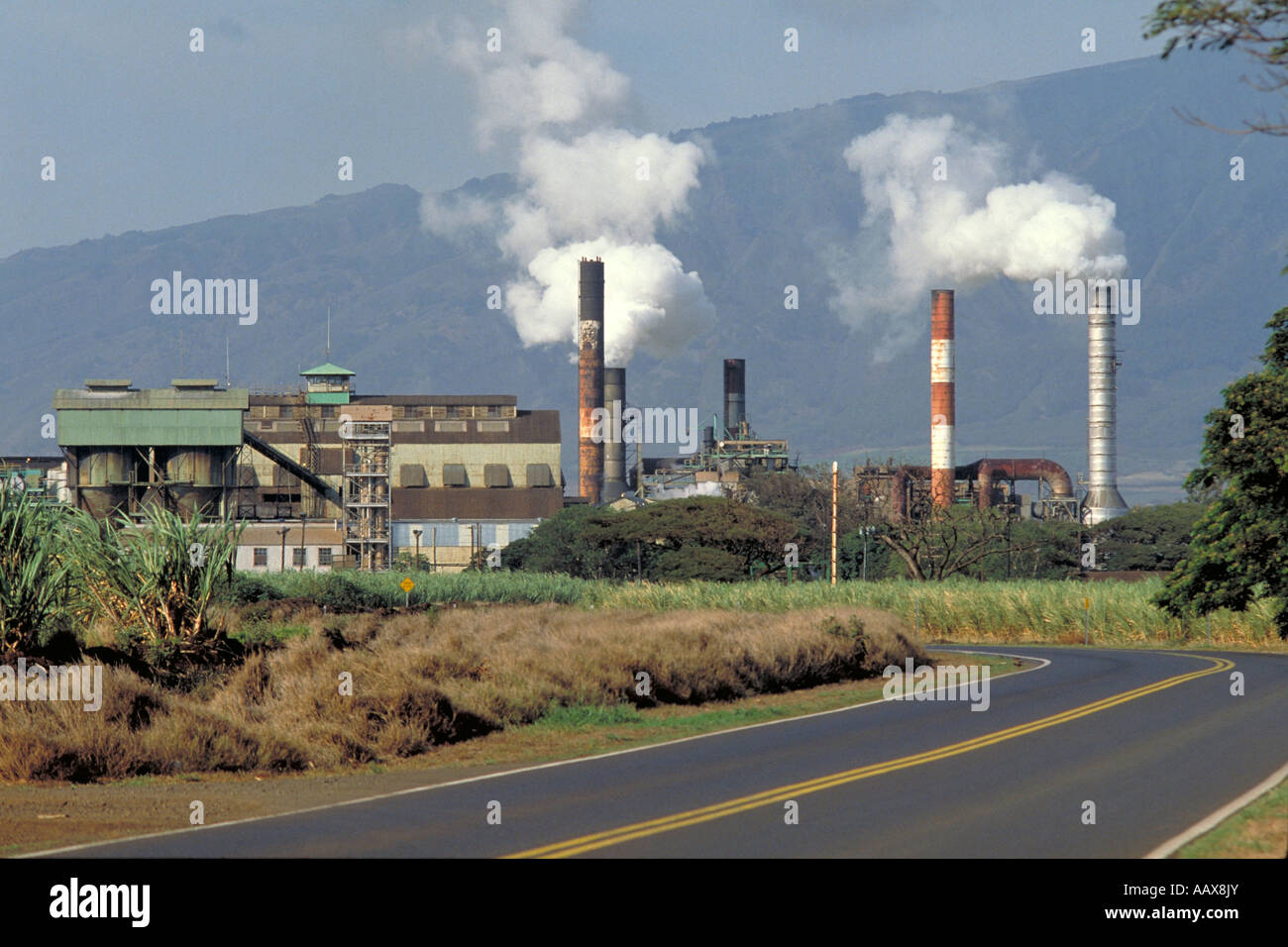 Puunene hi-res stock photography and images - Alamy