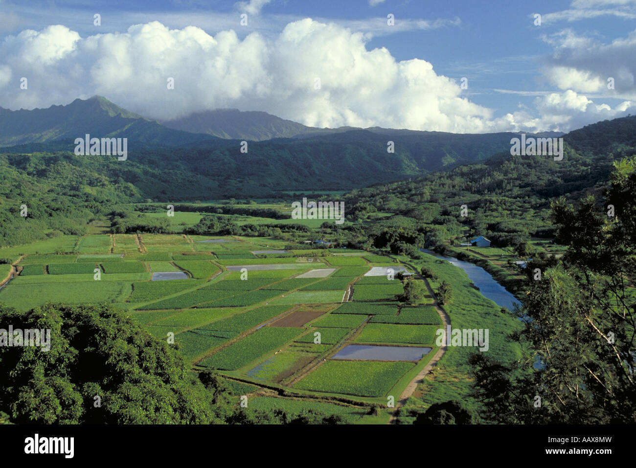 Hanalei valley overlook hi-res stock photography and images - Alamy
