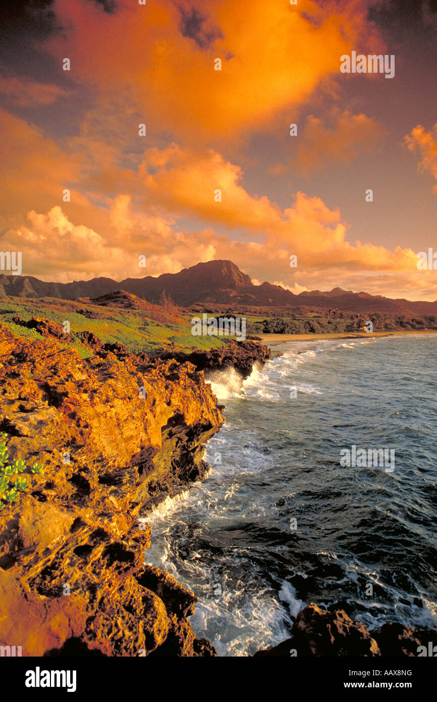 Hoary head hi-res stock photography and images - Alamy