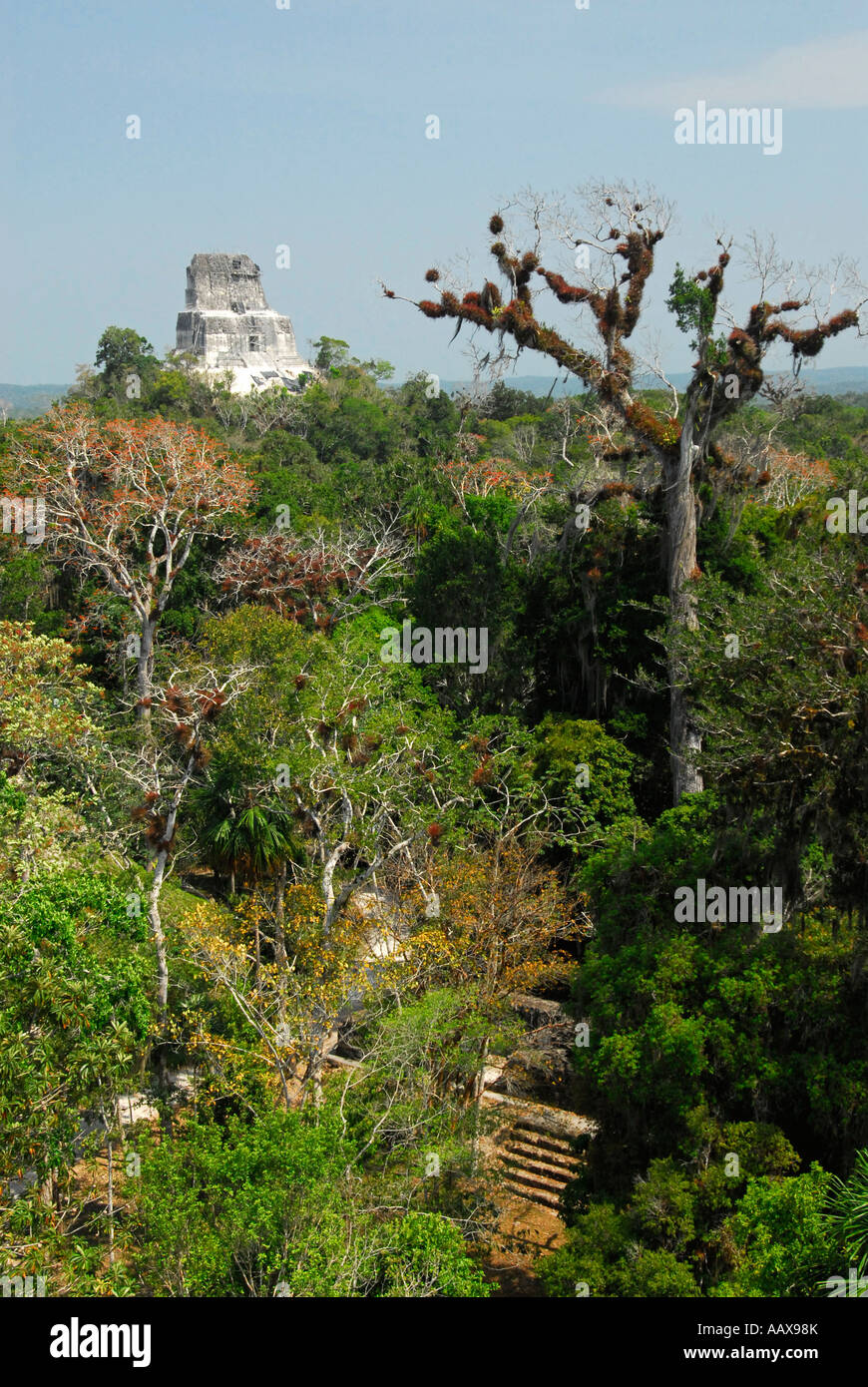 View of Temple IV, Temple of Inscriptions from top of pyramid, Tikal ...