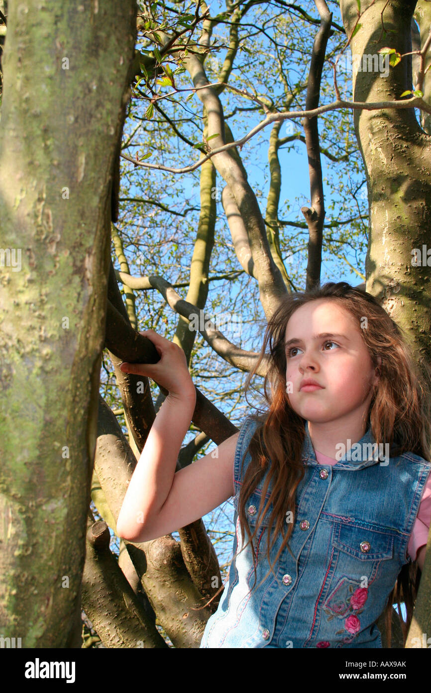 Child stuck up tree hi-res stock photography and images - Alamy